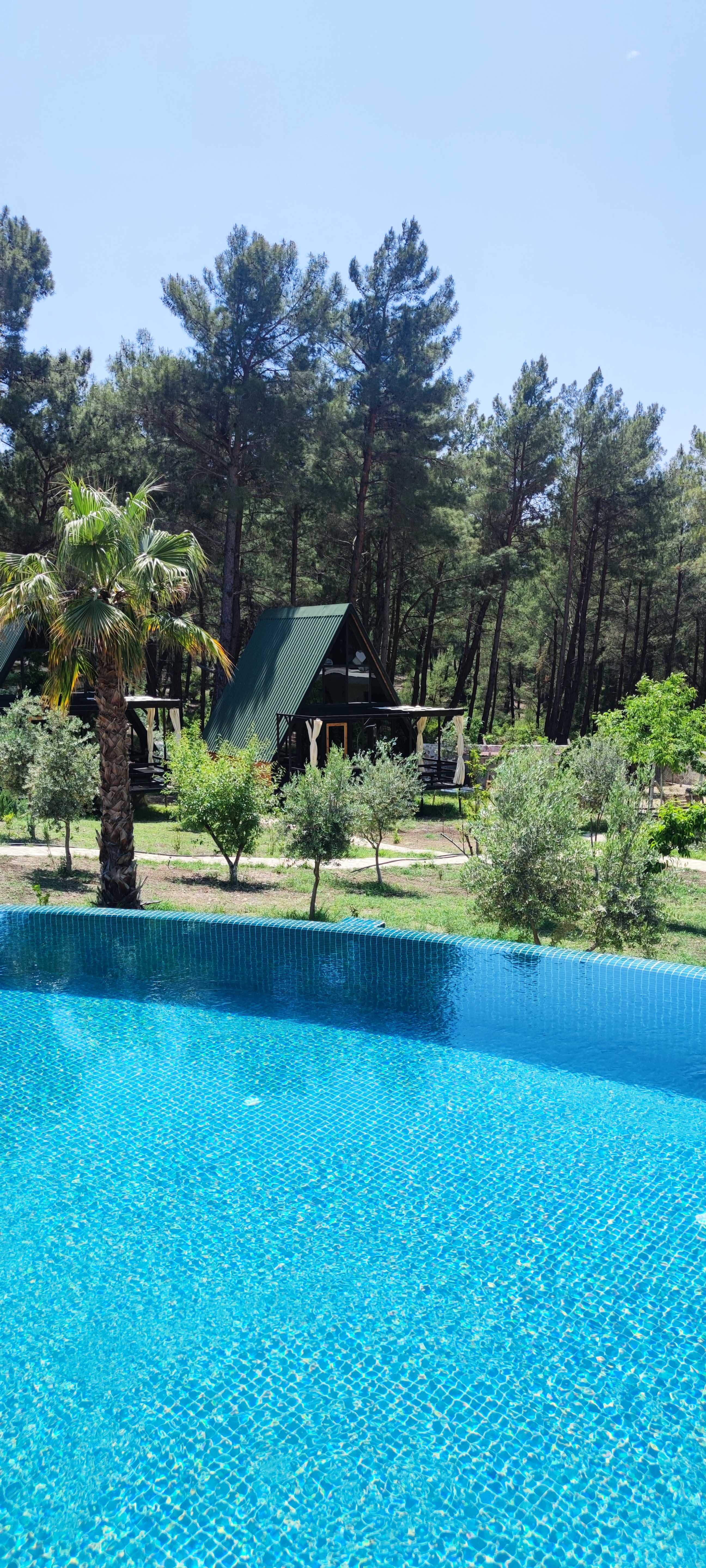 Saklıkent Aframe Resort - Solid Cabin | Cabin Kit Supplier